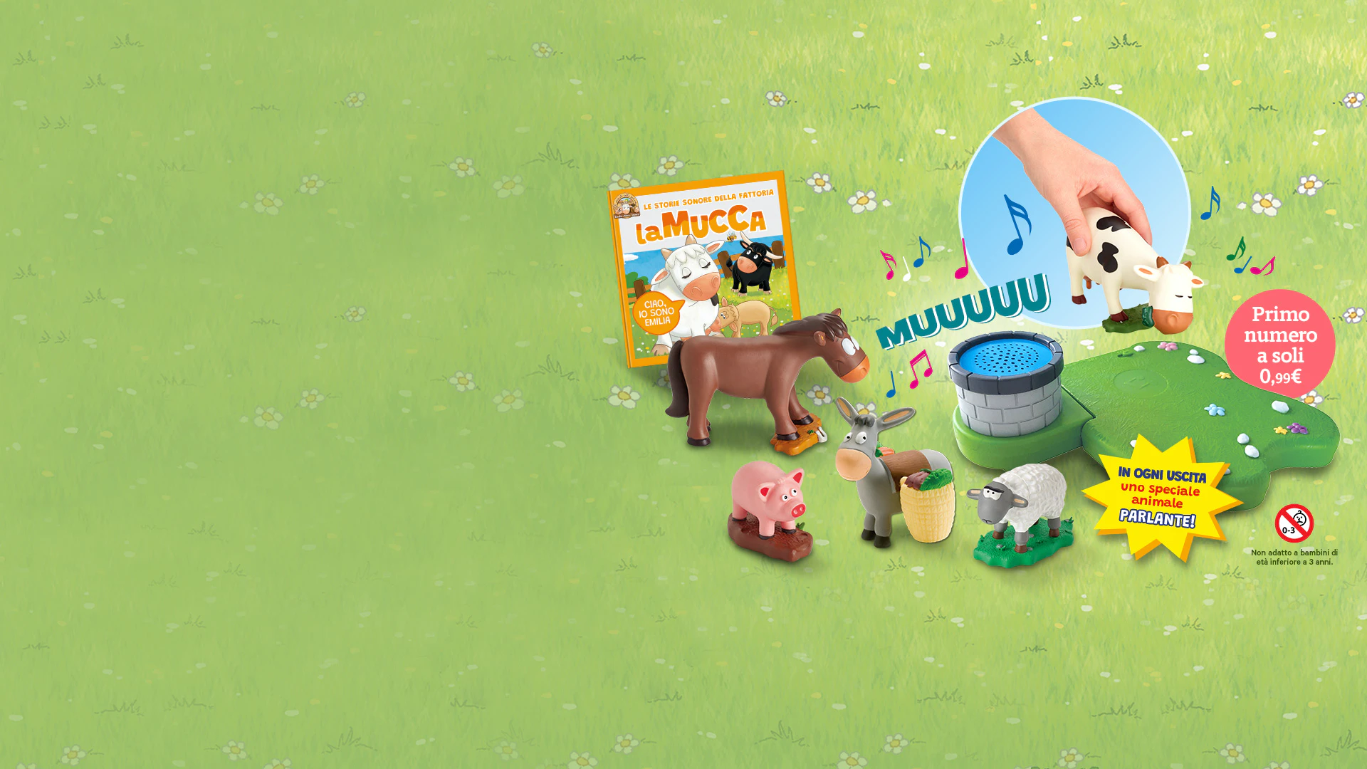 Amare Gli Animali Della Fattoria 19 Maiali Sequestrati Per